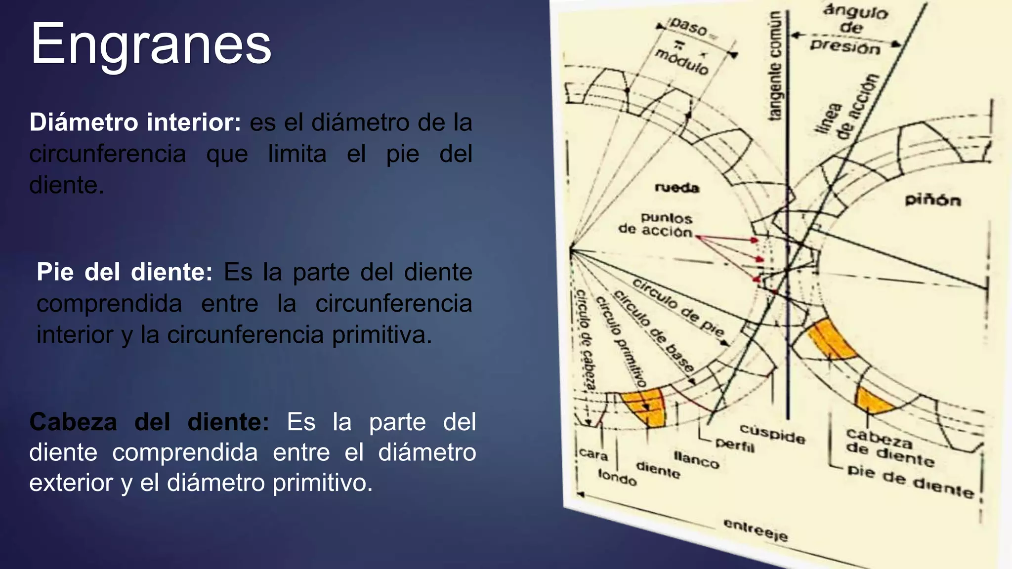 Partes de los engranes | PPTX | Dental Health | Diseases and Conditions