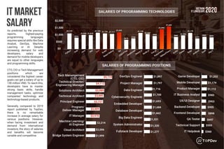 Vietnam IT Landscape Q2/2020 by TopDev | PPT