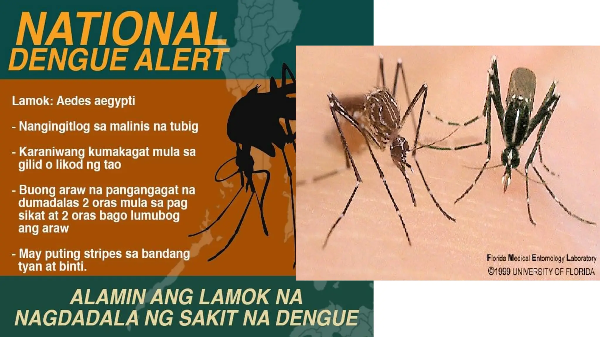 Enhanced 4S Strategy ON AKSYON BARANGAY KONTRA DENGUE | PPTX