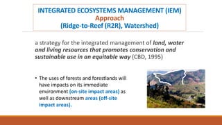 Enhanced clu pandzo_llmh_ | PPT