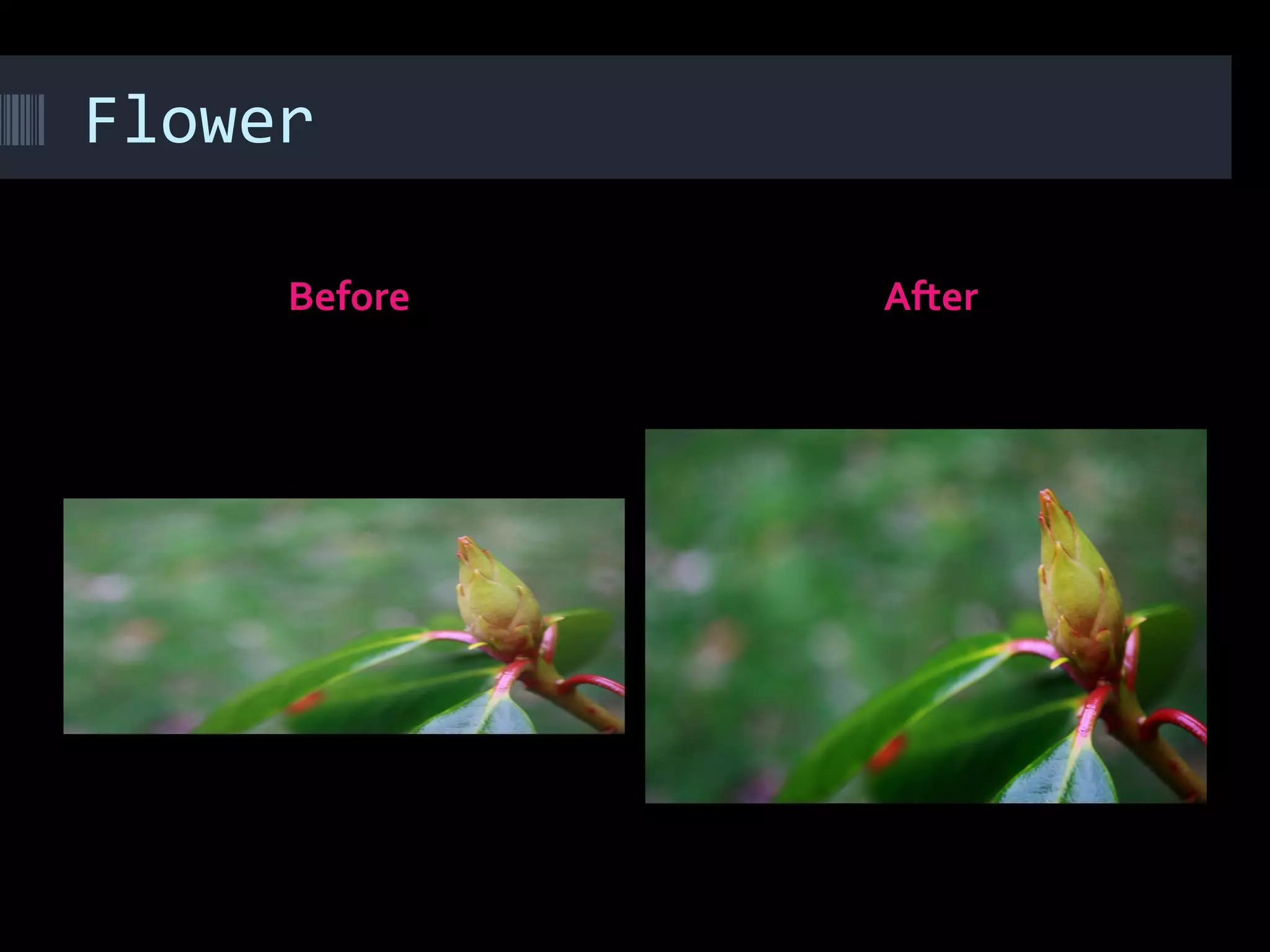 Enhanced Images PPT Enhanced Images PPT