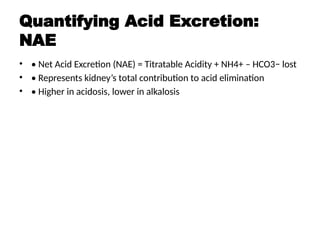 Enhanced_Kidney_Acid_Base_Balance_Presentation (1).pptx
