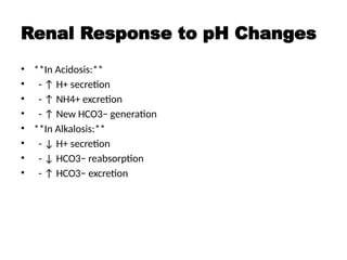 Enhanced_Kidney_Acid_Base_Balance_Presentation (1).pptx