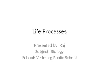 Enhanced_Life_Processes_Presentation.pptx