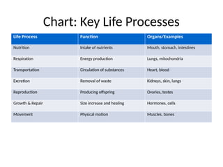 Enhanced_Life_Processes_Presentation (1).pptx