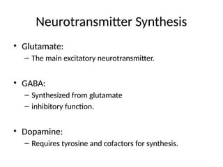 Enhanced_Metabolism_of_Nervous_System_Presentation.pptx