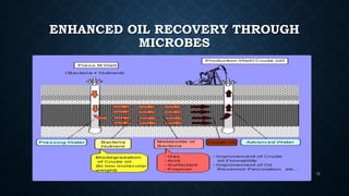 USE OF MICROBES IN OIL RECOV. | PPTX