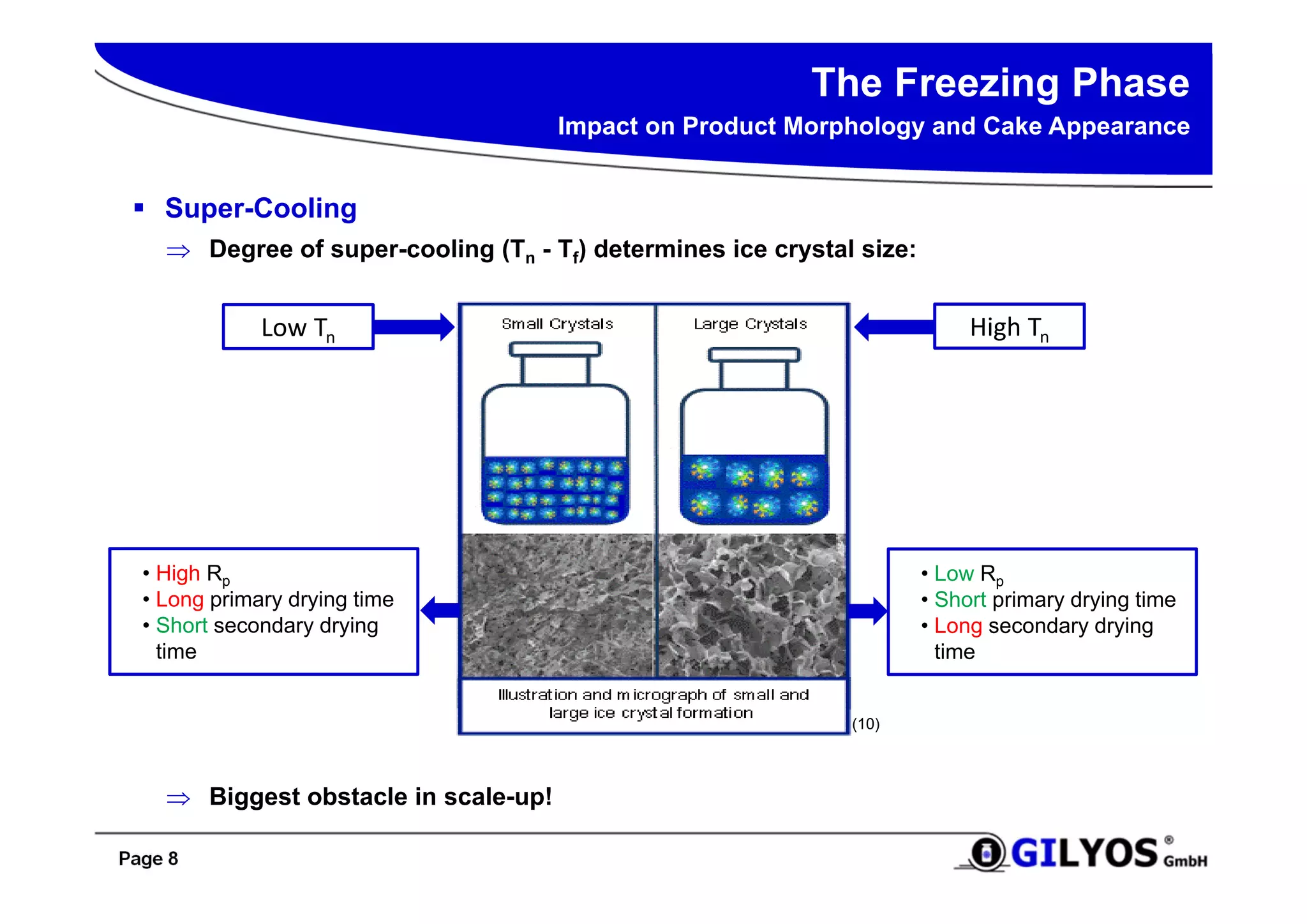 Enhanced Process / Product Understanding and Control in Freeze Drying ...
