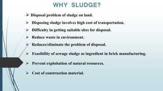 Enhanced Sludge Brick | PPTX