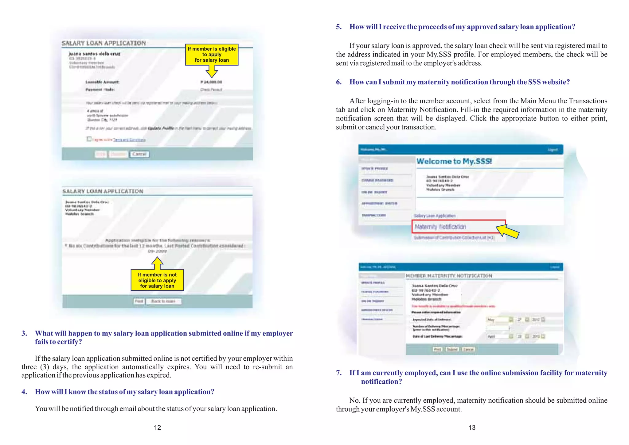 Using the SSS Website | PDF