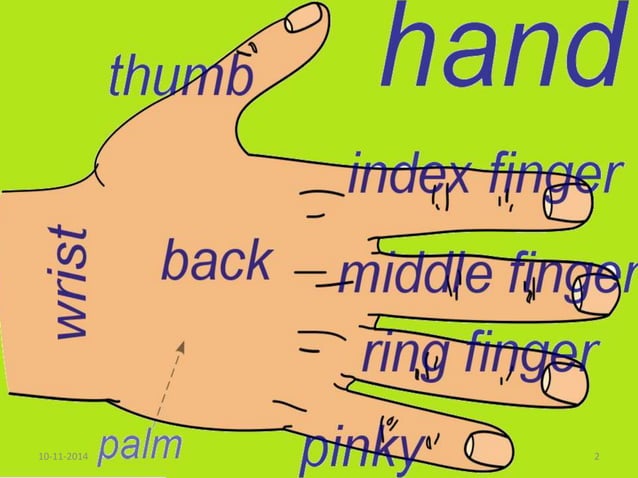 Enhancement Of Palmprint Using Median Filter For Biometrics Application Ppt