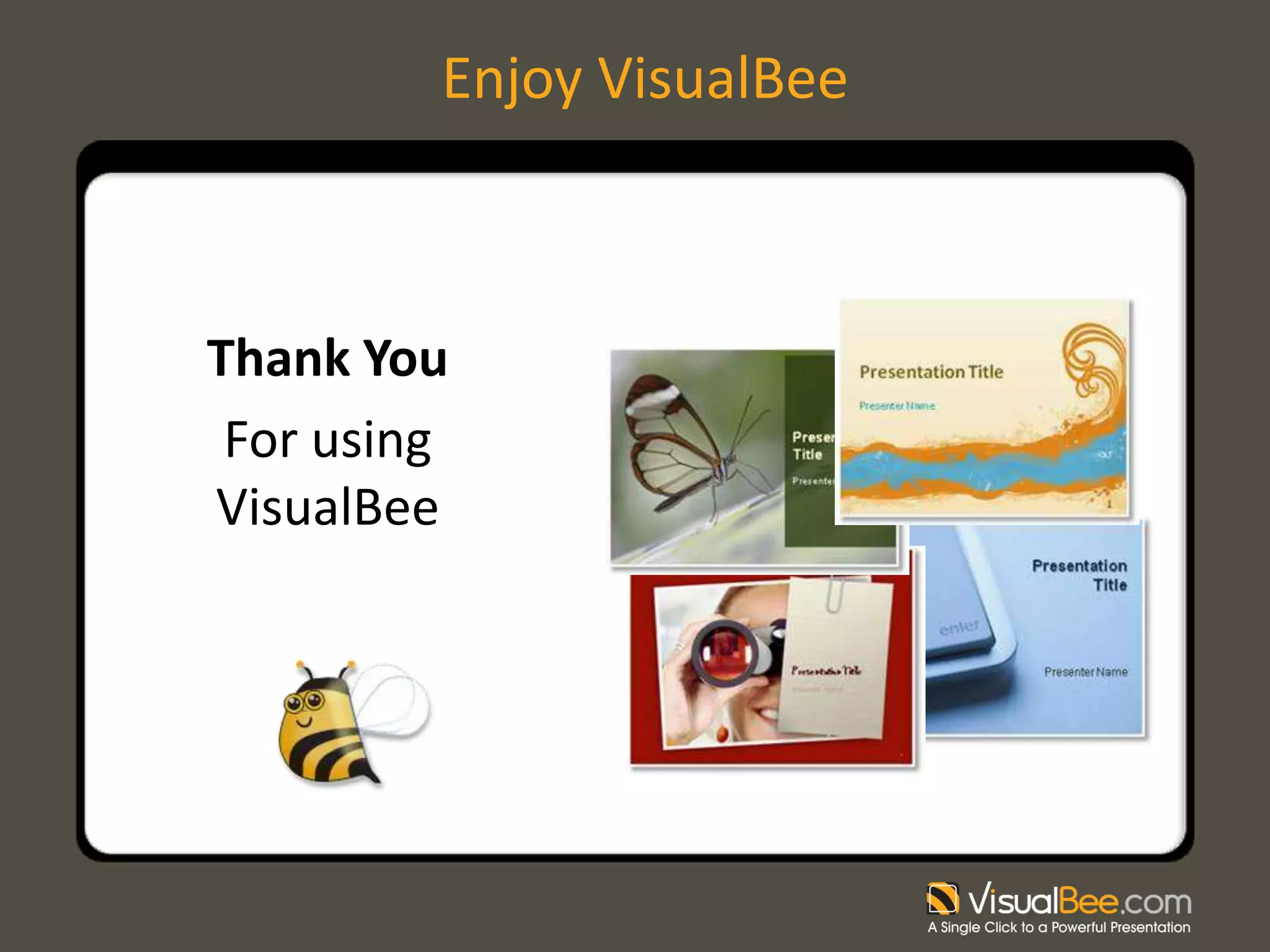 VisualBee Enhancement Guide | PPTX