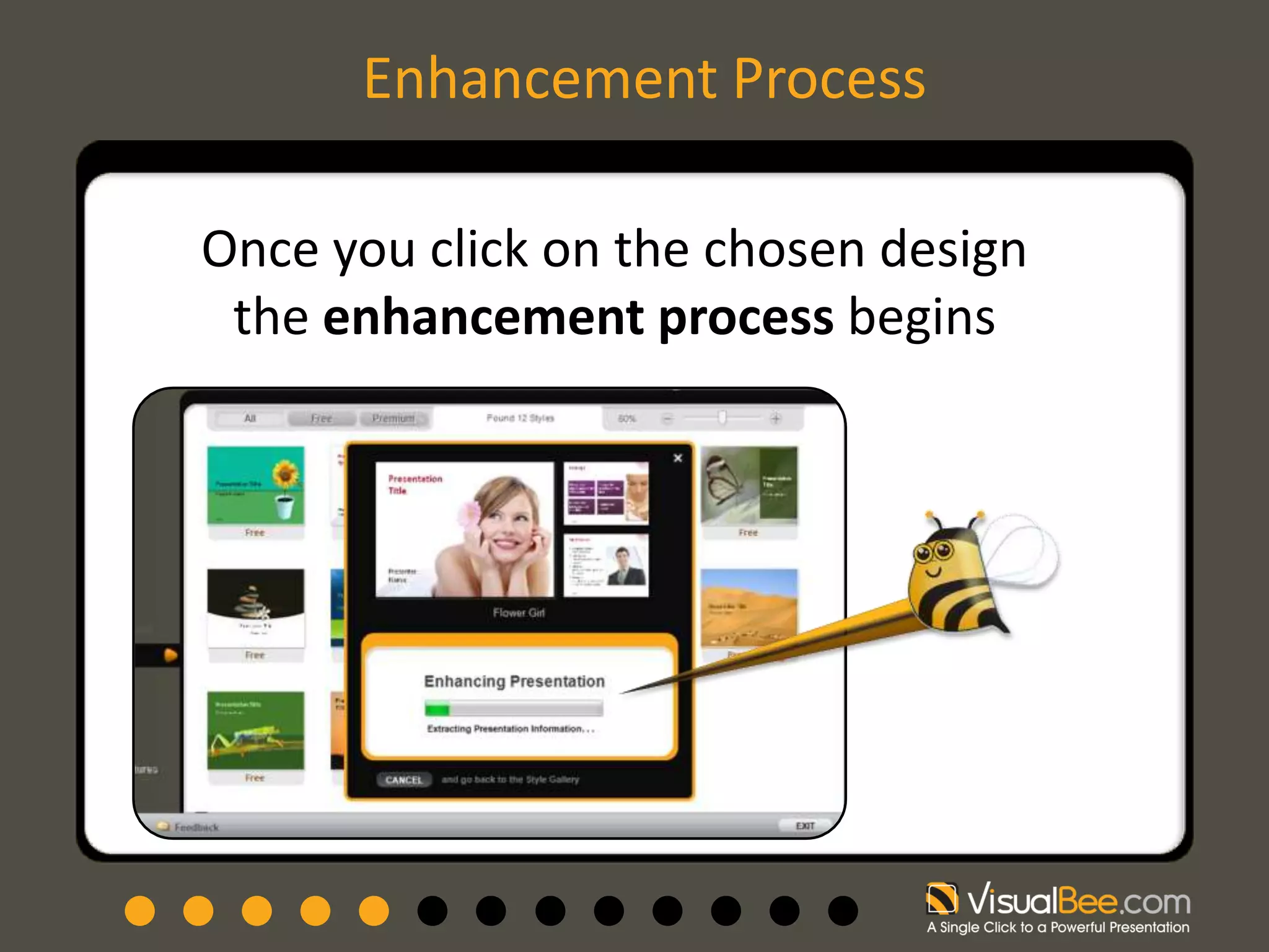 VisualBee Enhancement Guide | PPTX