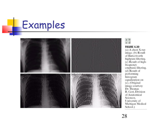 Enhancement in frequency domain | PPT | Photo Editing Software ...