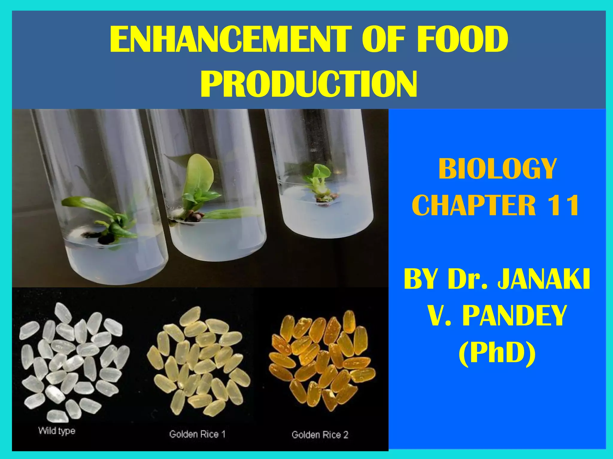Enhancement of Food Production | PPT