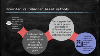 Enhancer-Driven gene expression in the EC | PPT