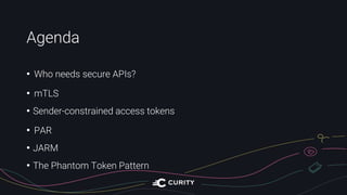 Enhancing API Security and Privacy Through Hardening the Access Token | apidays New York 2024 | PPT