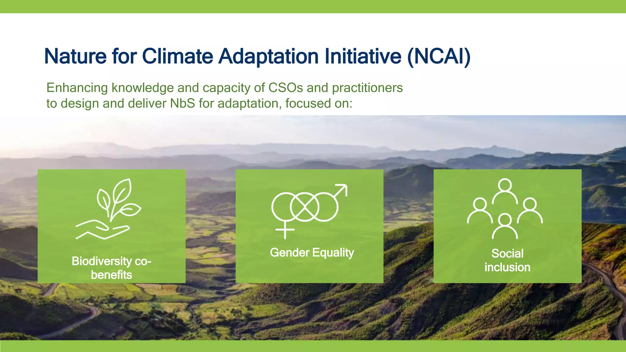 Enhancing biodiversity co-benefits from NbS implementation | PPT