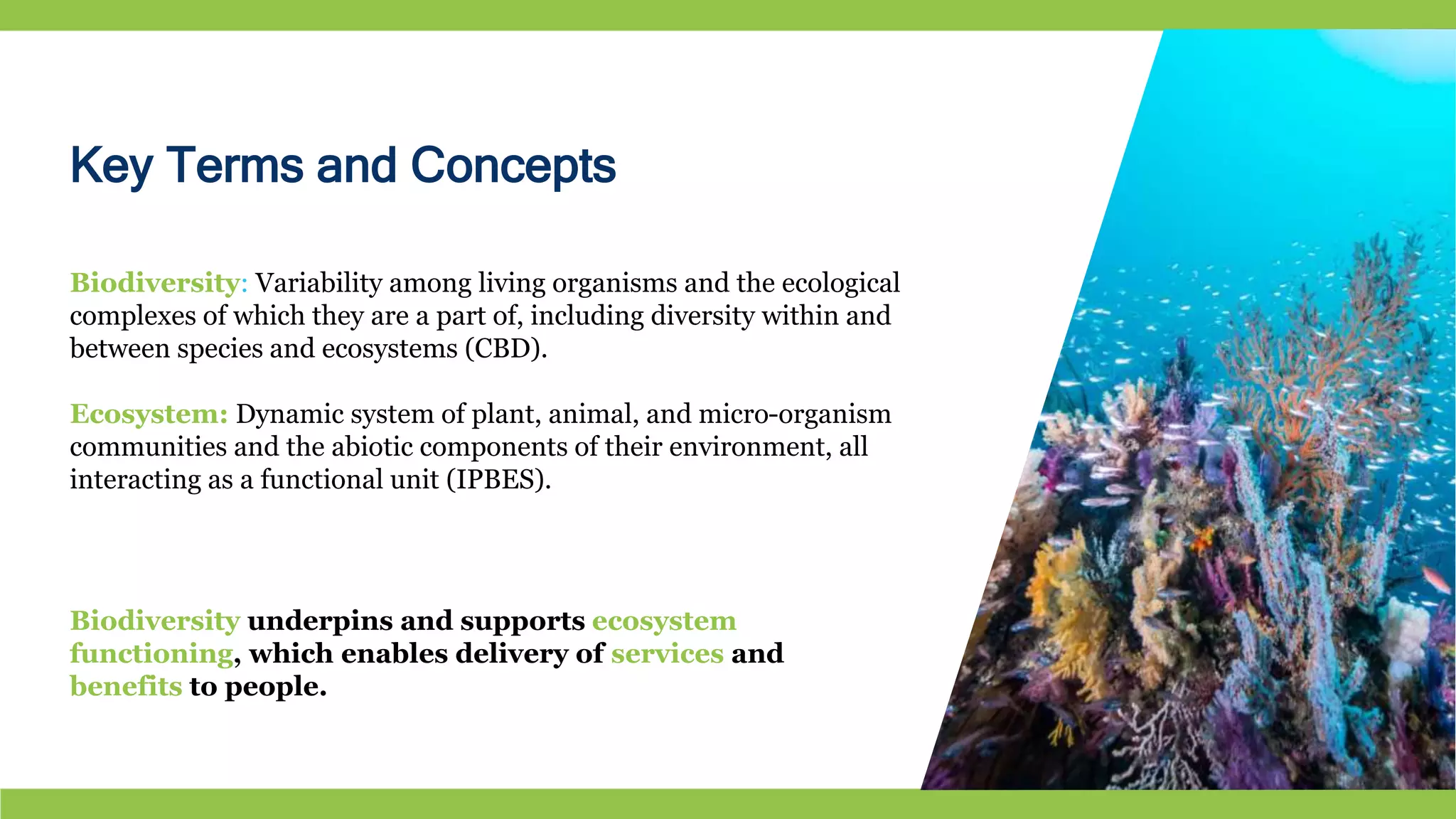 Enhancing biodiversity co-benefits from NbS implementation | PPT