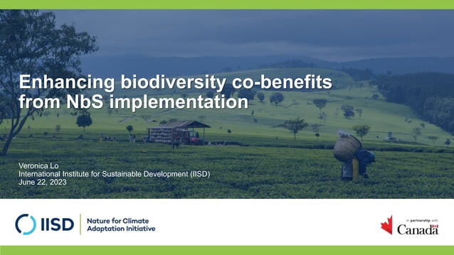 Enhancing biodiversity co-benefits from NbS implementation | PPT
