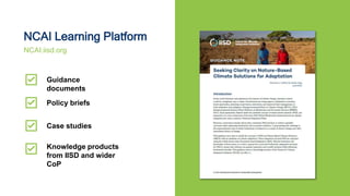 Enhancing biodiversity co-benefits from NbS implementation | PPT