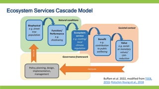Enhancing biodiversity co-benefits from NbS implementation | PPT
