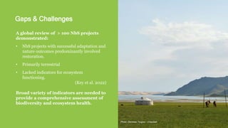 Enhancing biodiversity co-benefits from NbS implementation | PPT