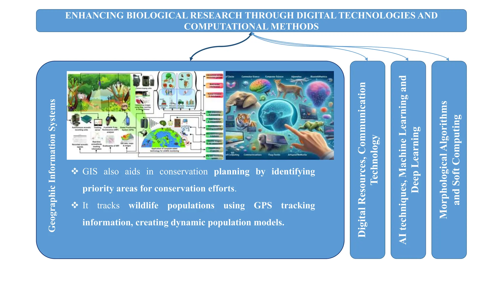 ENHANCING BIOLOGICAL RESEARCH THROUGH DIGITAL TECHNOLOGIES AND COMPUTATIONAL.ppt