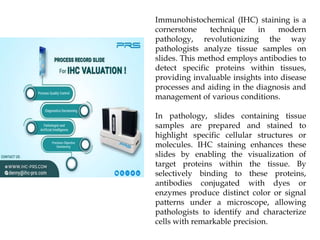 Enhancing Diagnostic Precision The Role of Immunohistochemical Staining ...