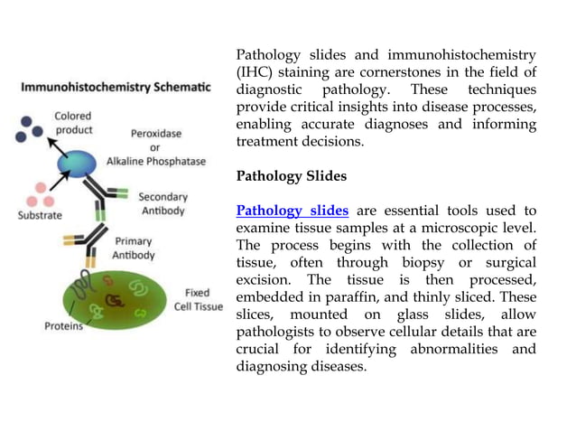 Enhancing Disease Diagnosis with Pathology Slides and IHC Staining.pptx