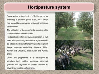 Enhancing forage availability and ecosystem services through ...