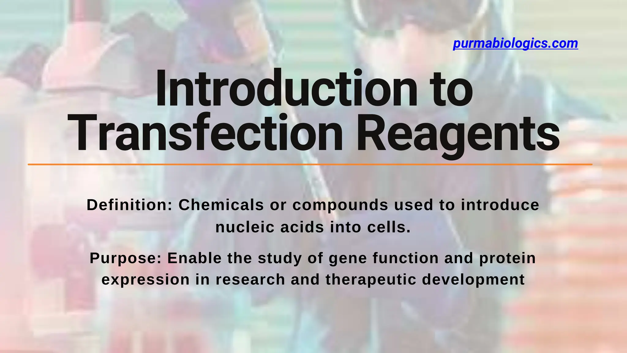 Enhancing Gene Expression The Role of Transfection Reagents.pptx