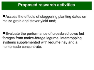 Enhancing the contribution of maize to food and fodder security in ...