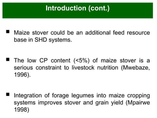 Enhancing the contribution of maize to food and fodder security in ...
