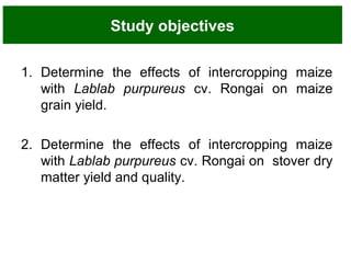 Enhancing the contribution of maize to food and fodder security in ...