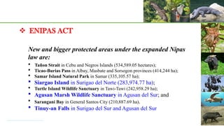 northern sierra madre natural park presentation | PPTX