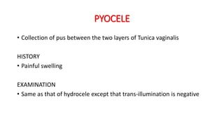 DIFFERENTIAL DIAGNOSIS OF INGUINOSCROTAL SWELLING | PPTX