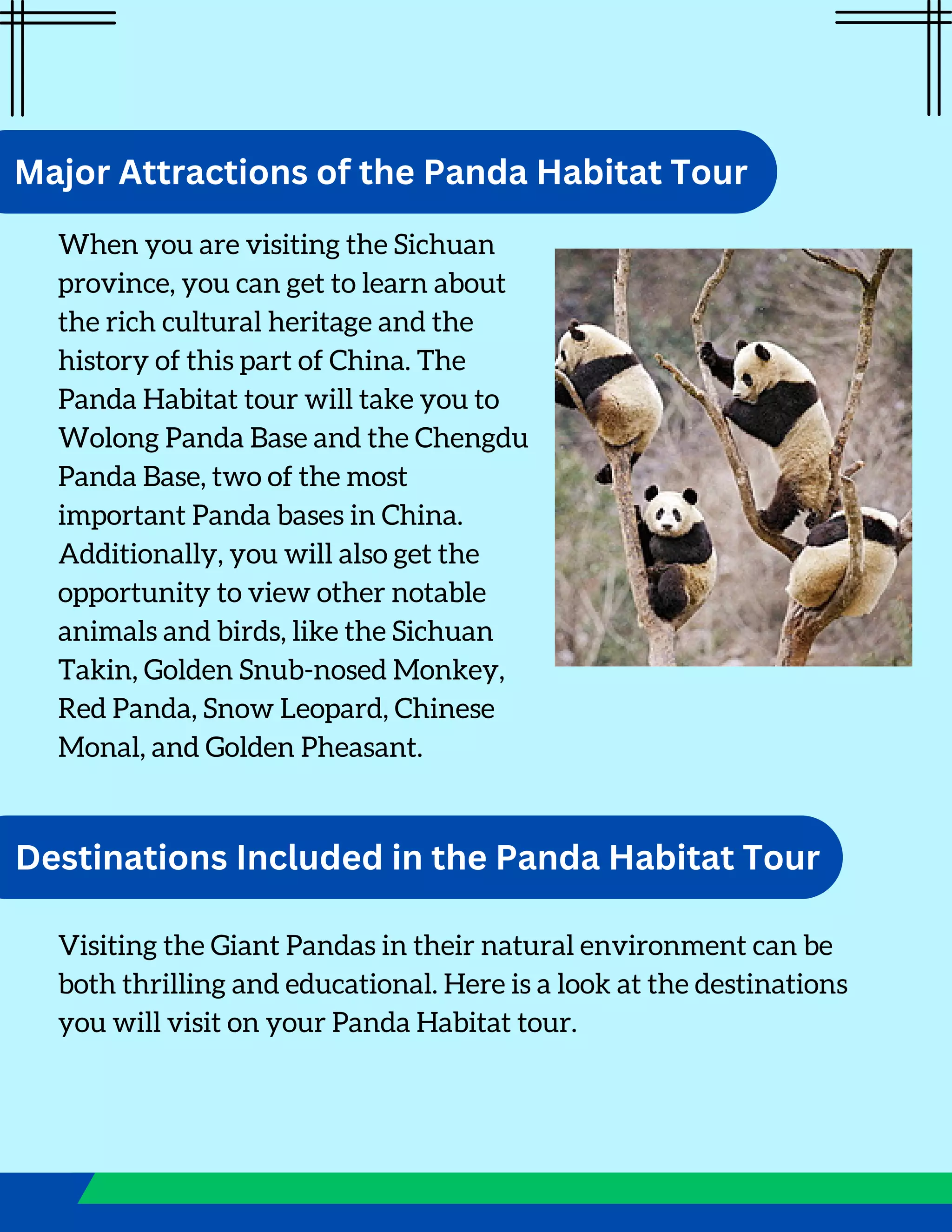 Enjoy a heartwarming trip to China’s Panda habitats.pdf