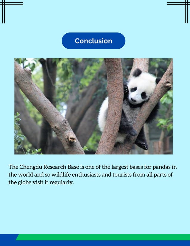 Enjoy a heartwarming trip to China’s Panda habitats.pdf