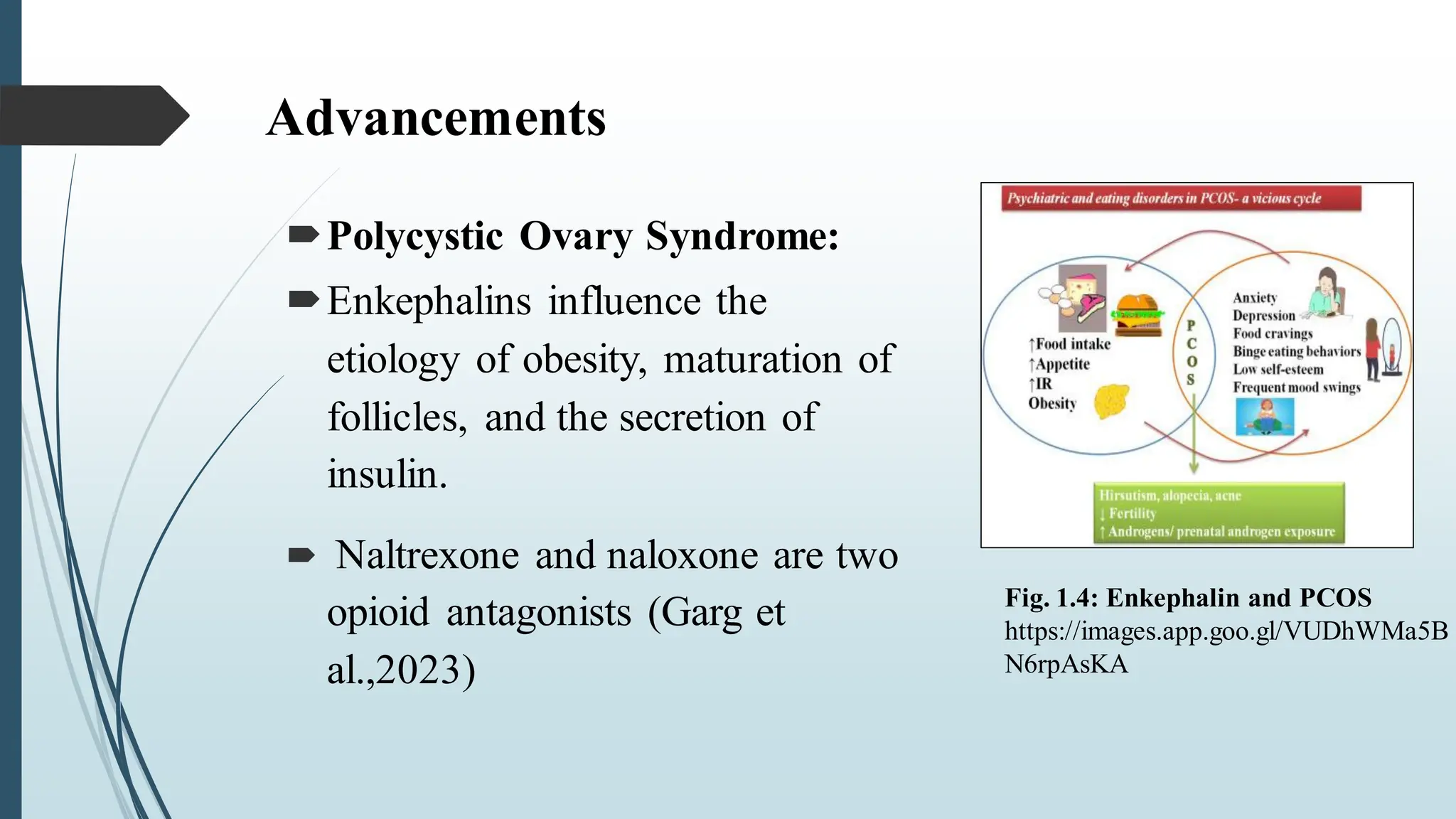 ENKEPHALIN PPT (final).. (2)-1.pdf