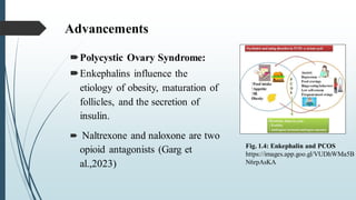 ENKEPHALIN PPT (final).. (2)-1.pdf