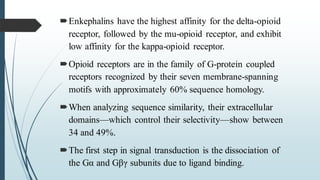 ENKEPHALIN PPT (final).. (2)-1.pdf
