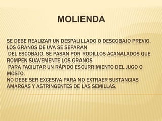 produccion de vinos | PPTX