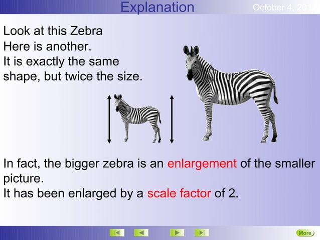 Enlargement | PPT | 3-D Graphics | Computer Software and Applications