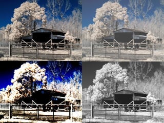 Enlarger and Darkroom Printing | PPT