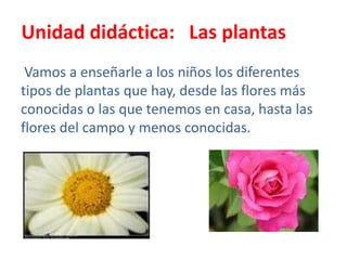 En la unidad didáctica de las plantas | PPTX