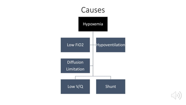 Enlightening Hypoxemia | PPT