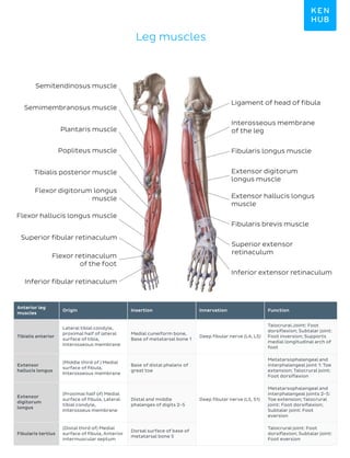 en_lower_extremity_english.pdf