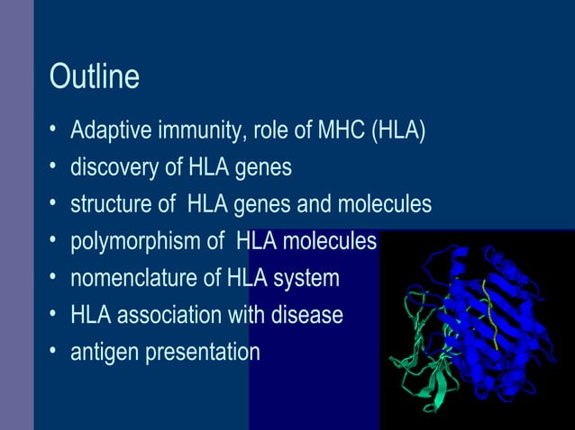 HLA and antigen presentation | PPT | Chemistry | Science