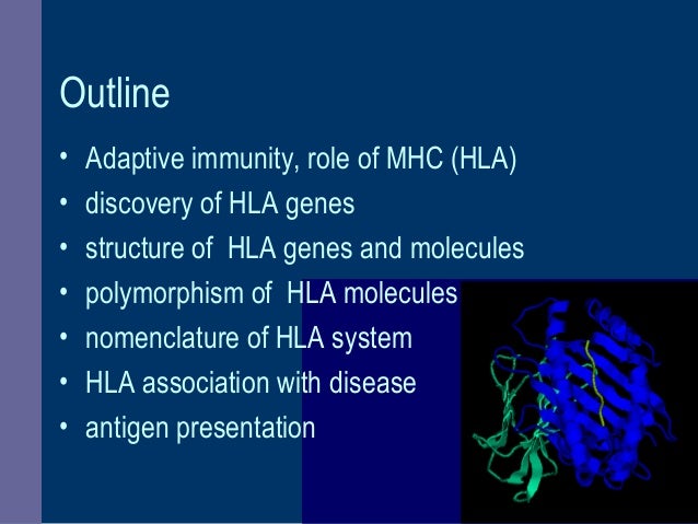 HLA and antigen presentation